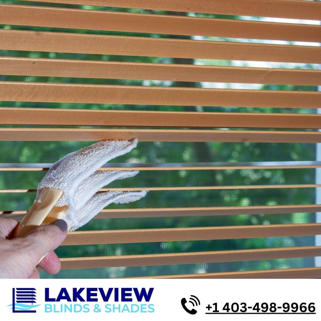 Things You Can Do To Purchase The Best Blinds